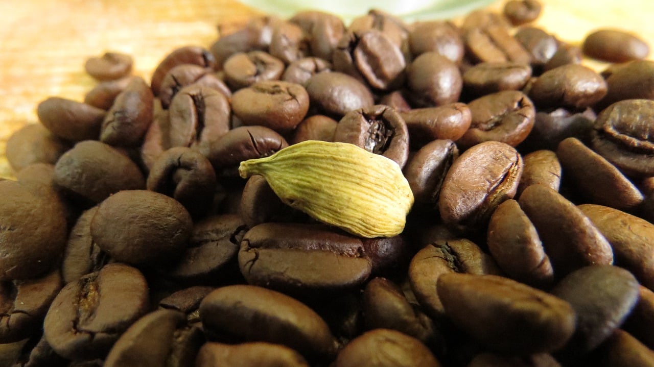 ¿Qué es y para qué sirve el cardamomo? | Quinto Poder