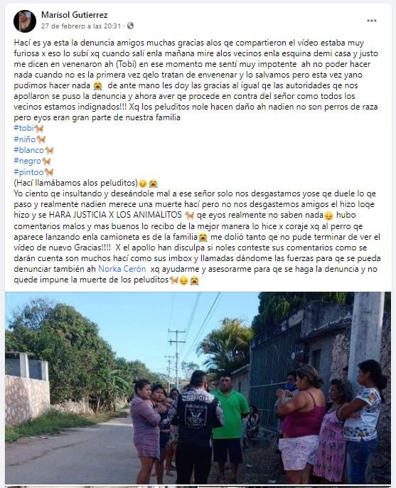 Video exhibe envenenamiento masivo de perros en Yucatán | Quinto Poder