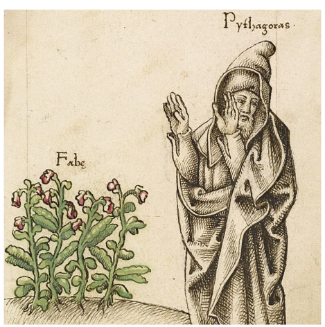 Cinco beneficios de comer habas | Quinto Poder