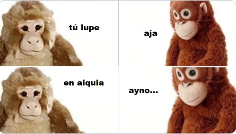 Peluche De Memes
