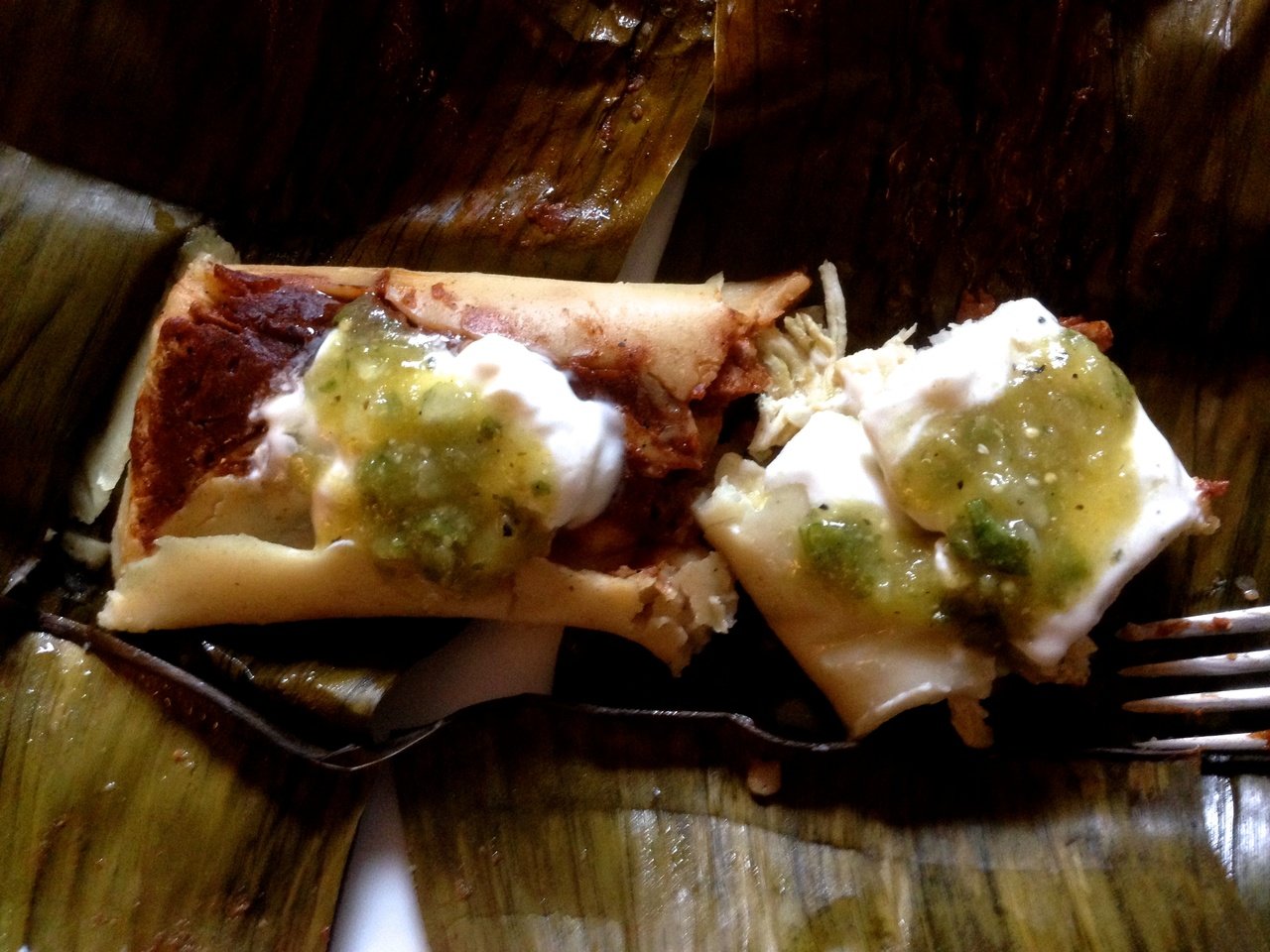 Chaya: legado culinario y medicinal de la cultura maya | Quinto Poder