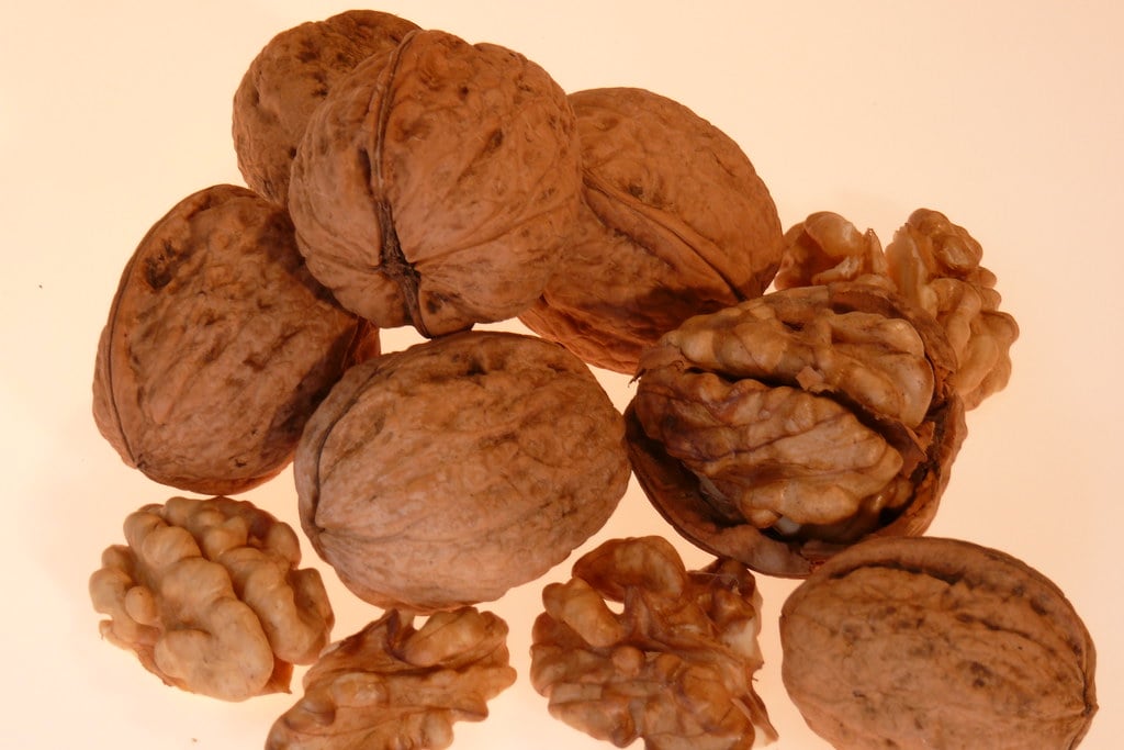 A qué se dedican y cómo vive la familia LeBarón en México | Quinto Poder