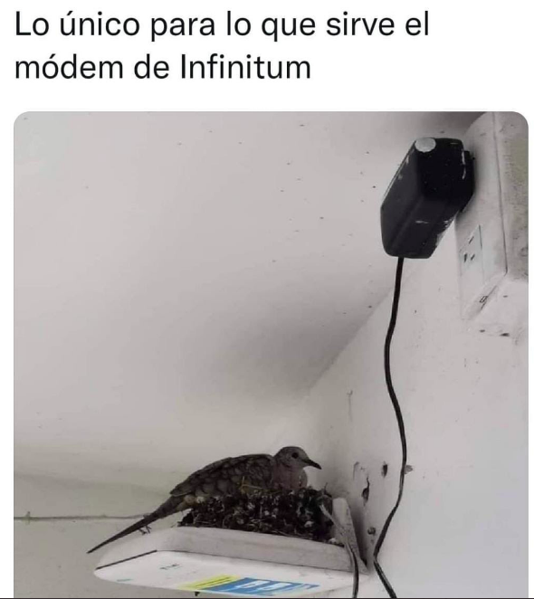 Usuarios reportan fallas con el internet de Telmex y se desatan los ...