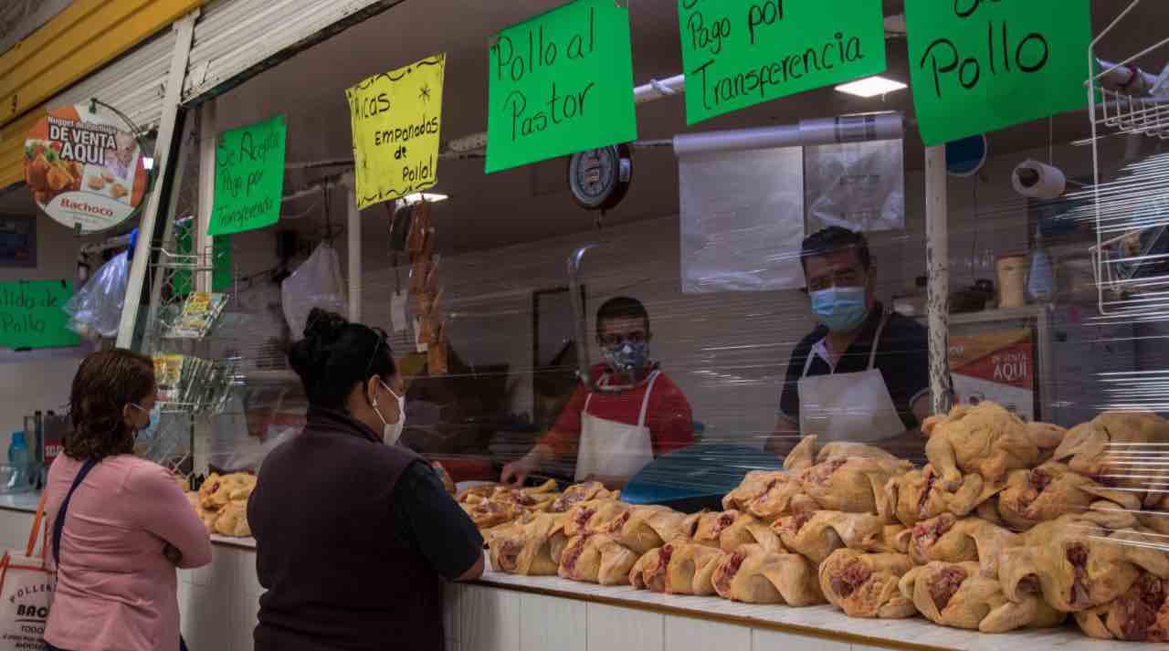 ¿Aún vuela? Pechuga de pollo alcanza los 162 pesos por kilo | Quinto Poder