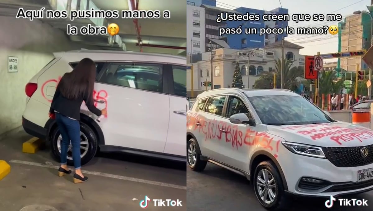 'Cobarde, no sabías Excel': le rayan su carro por arruinar proyecto ...