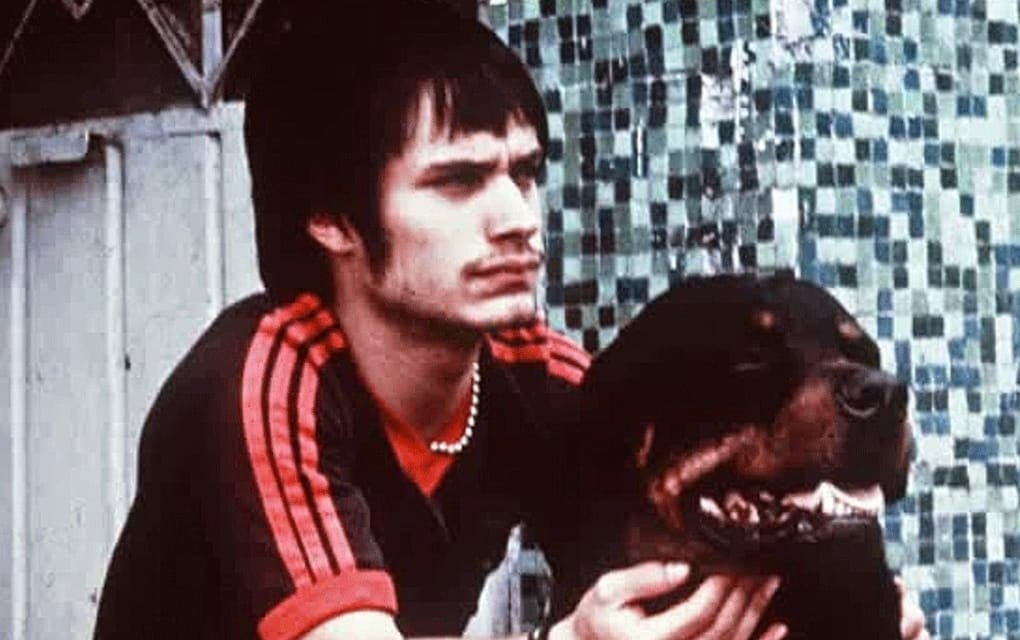 Amores Perros: 10 datos curiosos que no sabías de la película de Alejandro González Iñárritu ...