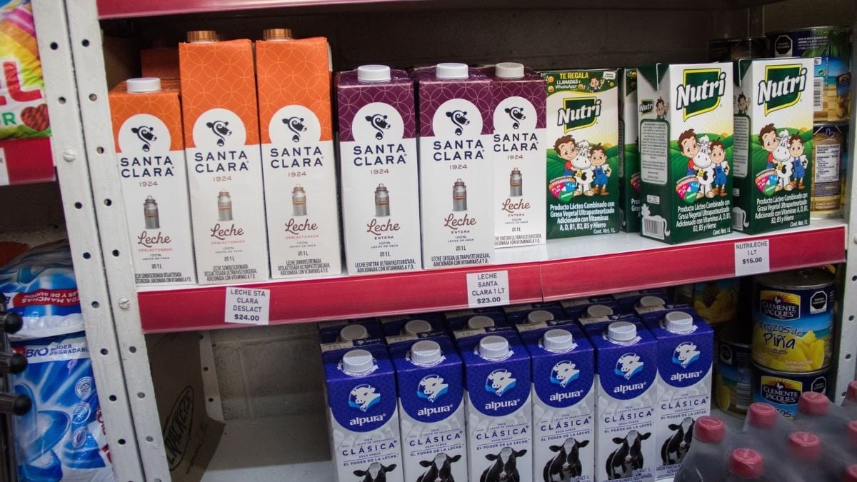 ¿Cuál es la mejor marca de leche, según la Profeco? | Quinto Poder
