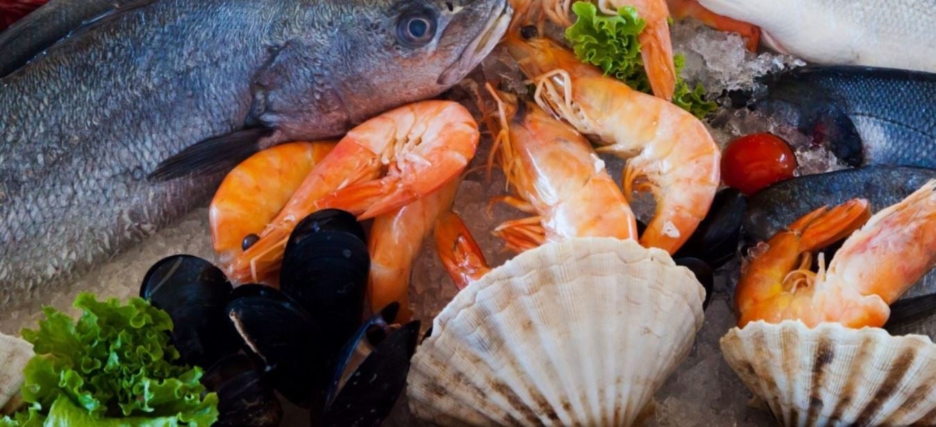 ¿Te gustan los mariscos? ¿Advierten por comida contaminada que se ...